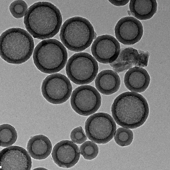 Fe3O4-SiO2 核壳式介孔二氧化硅纳米粒子-化工仪器网